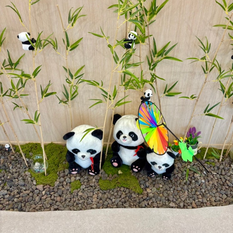 🍴[대구] 현풍 가볼만한 곳 "미미중화요리 현풍테크노폴리스점" - 현지인 중화요리 맛집 후기 : 네이버 블로그