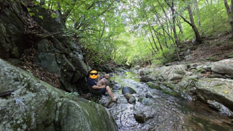[캠핑기, 116번째] 계방산 제3, K15, 우리의 여름 캠핑지 넘버1이 되다. : 네이버 블로그