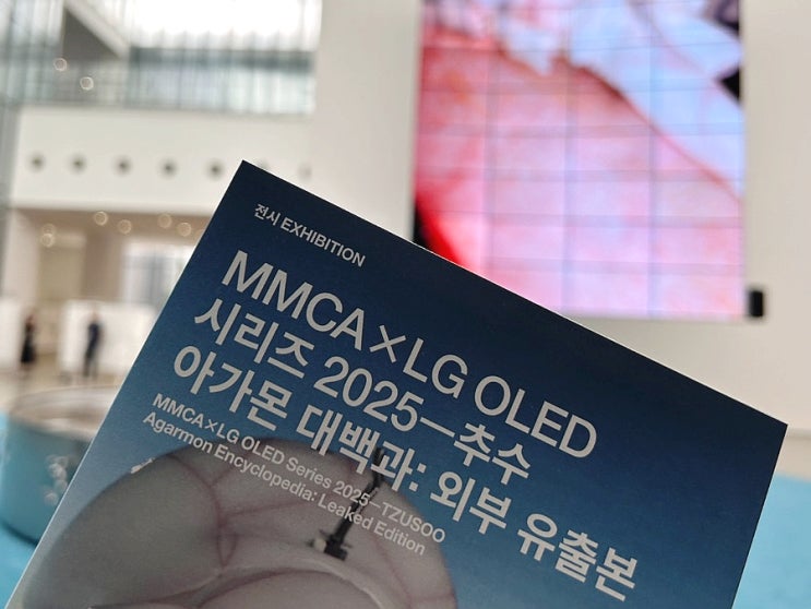 국립현대미술관 서울 LG OLED시리즈 2025 : 추수 작가 전시회 관람 후기 : 네이버 블로그