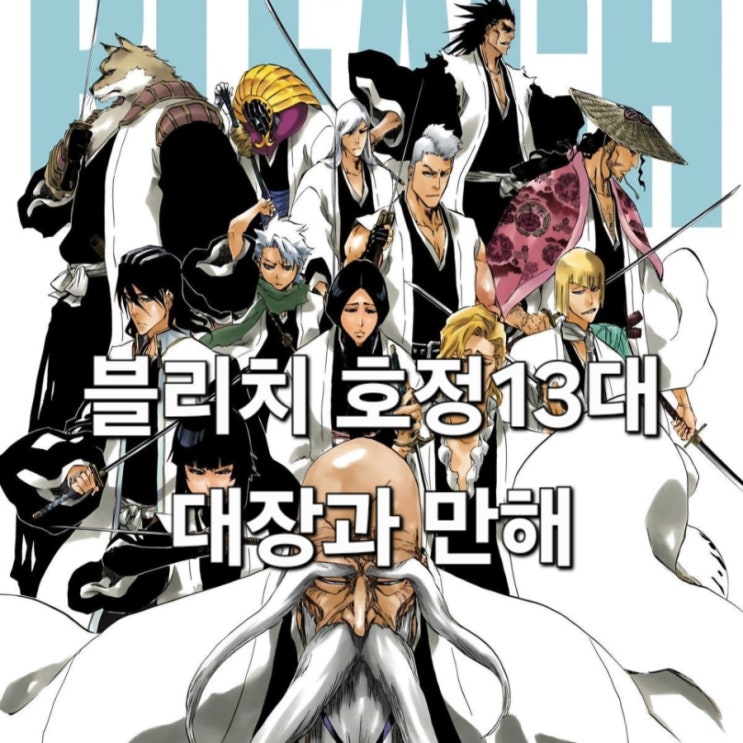 【블리치 만해】 블리치 호정 13대 대장들이 사용하는 만해 분석! : 네이버 블로그