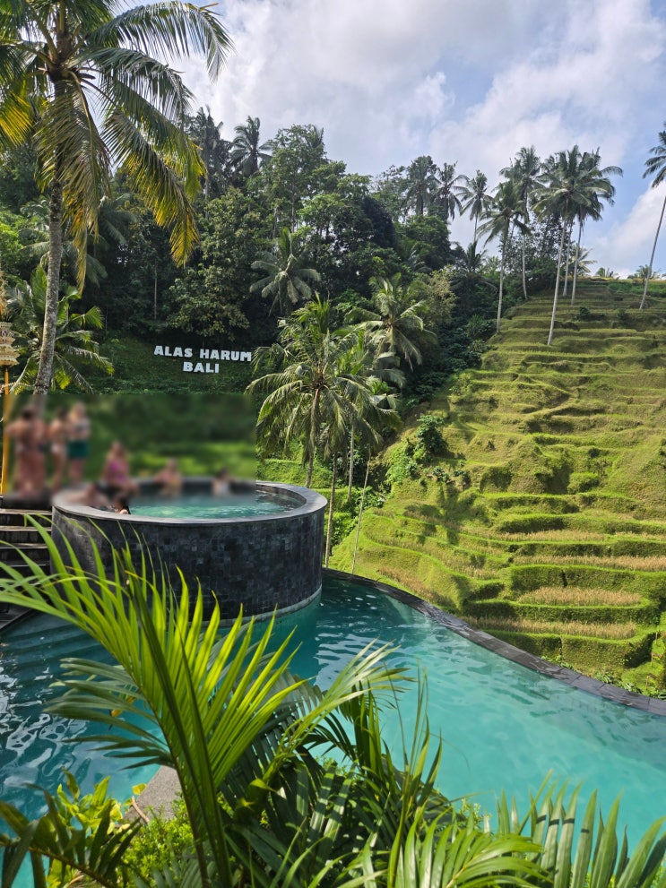 발리 우붓 가볼만한곳, 크레타야 우붓(Creta Ubud) 수영장 : 네이버 블로그