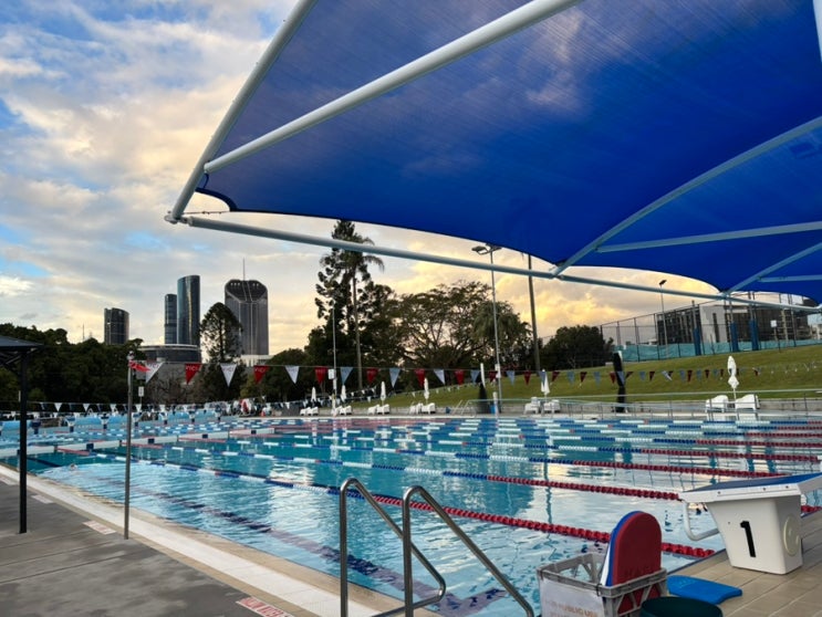 호주 브리즈번 무스그레이브 수영장 추천 Musgrave Park Swimming Centre 시설, 요금 후기 : 네이버 블로그
