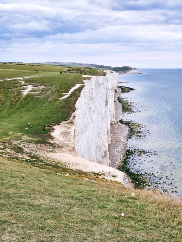 세븐 시스터즈(Seven Sisters) : 네이버 블로그