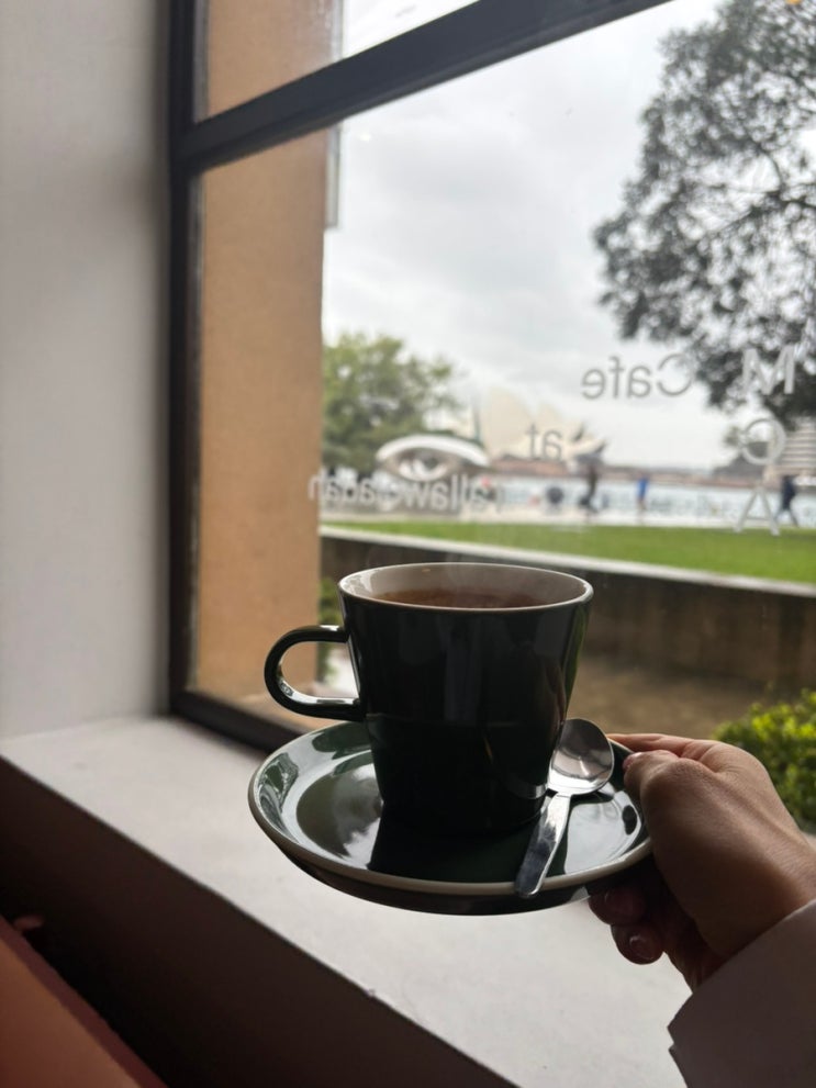 4박6일 시드니 맛집 펍 오페라하우스 커피맛집 coles 후기 : 네이버 블로그