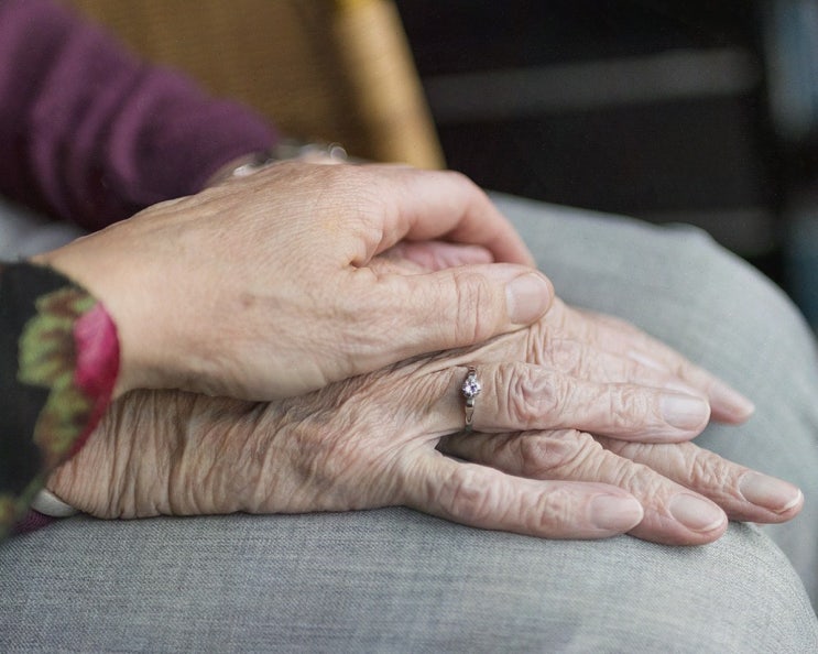 전문가가 추천하는 판교 치과의 치료 서비스 : 네이버 블로그