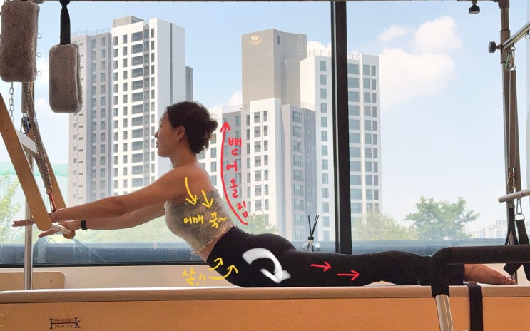 필라테스 기초 동작/스완&등 신전(Swan, Back Extension) : 네이버 블로그