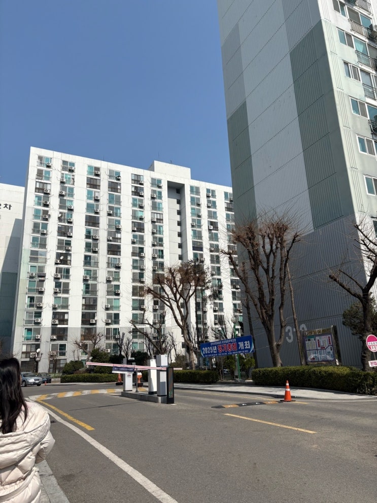 1_신혼집 아파트 알아보기, 아파트 임장, 매매냐 월세냐 : 네이버 블로그