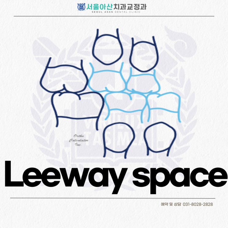 구리역교정치과 교정치료 시기 설정에 중요한 leeway space : 네이버 블로그