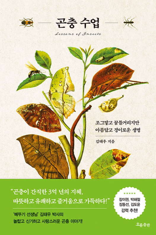 [곤충수업] 김태우, 2021 : 네이버 블로그