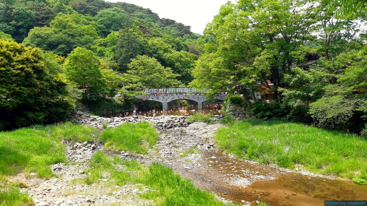 마곡사계곡 풍경 : 네이버 블로그