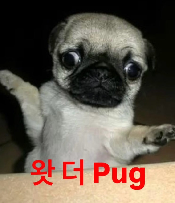 내가 저번달 일을 어떻게 기억하냐고. : 네이버 블로그