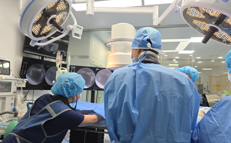 강아지 심장병 PDA 치료 ACDO 시술 과정 | 대전 24시간 동물병원 숲 : 네이버 블로그