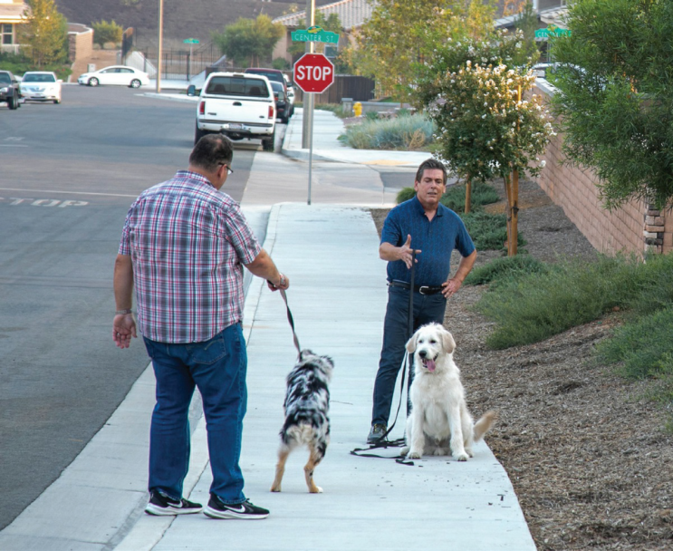 누가 개 훈련 전문가일까? : 네이버 블로그