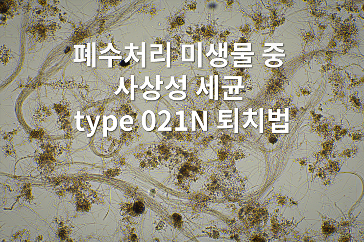 폐수처리 미생물 중 사상성 세균 type 021N 퇴치법 : 네이버 블로그