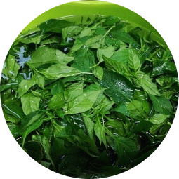 9월 제철 나물 - 9월 식탁을 풍성하게 채워줄 제철 나물 5가지 : 네이버 블로그