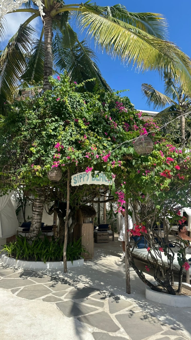 8월 미세스시피 발리 워크인 후기 - 너어무 좋았다 (feat.7시간) : 네이버 블로그