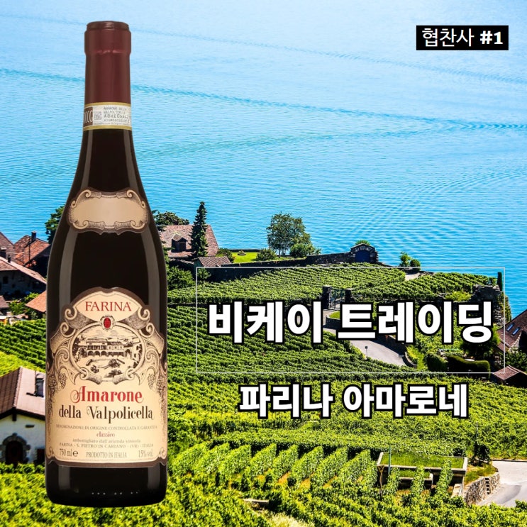 [협찬와인소개] 파리나 아마로네 (비케이 트레이딩) : 네이버 블로그