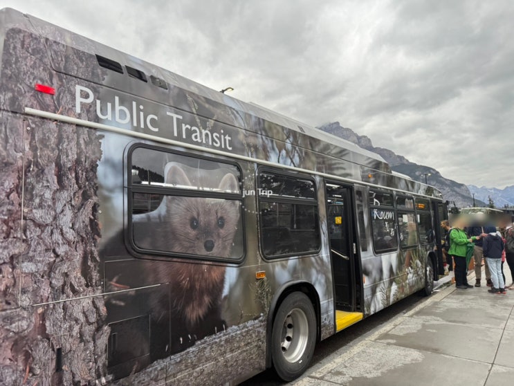 캐나다 밴프 Roam 8X 버스 예약 방법 – Banff ↔ 레이크 루이스 Lake Louise 편리하게 가는 법 : 네이버 블로그