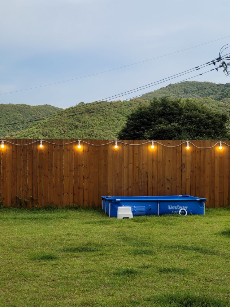 여주 애견 동반 독채 펜션 포리포리 1탄 (별채, 바비큐, 애견 욕실, 분리수거) : 네이버 블로그