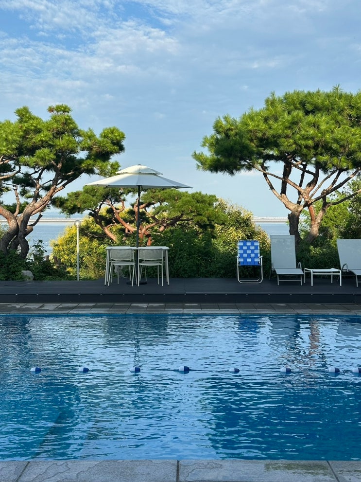 이료일 스테이 : 네이버 블로그