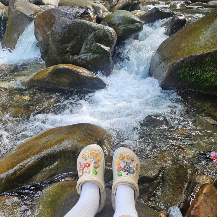 [일상기록] 얼레벌레 지나간 8월 일상기록 : 네이버 블로그