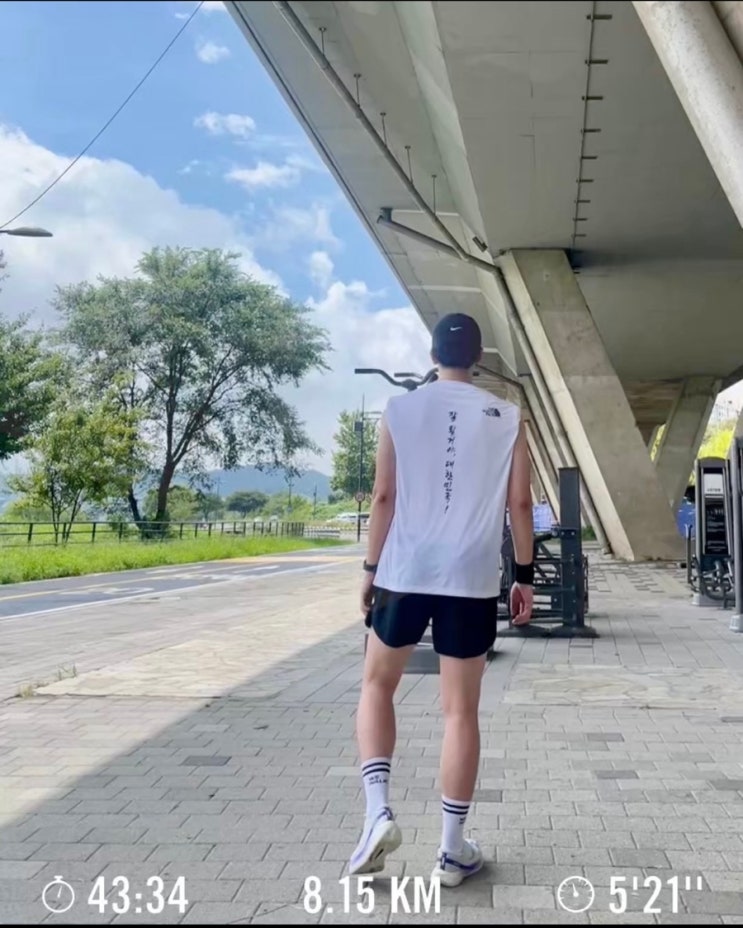 광복절 80주년 기념 2025 815런 버추얼런 인증 잘될거야, 대한민국! : 네이버 블로그