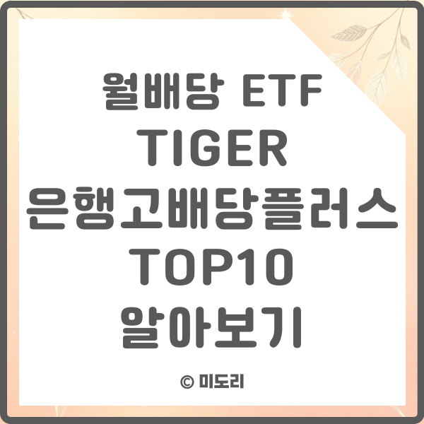 월배당 ETF TIGER 은행고배당플러스TOP10 알아보기 : 네이버 블로그
