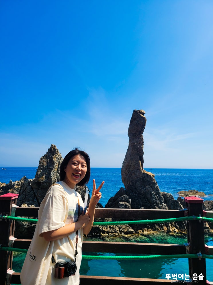 삼척여행지 초곡용굴촛대바위길 출렁다리 개방시간 주차장 후기 : 네이버 블로그