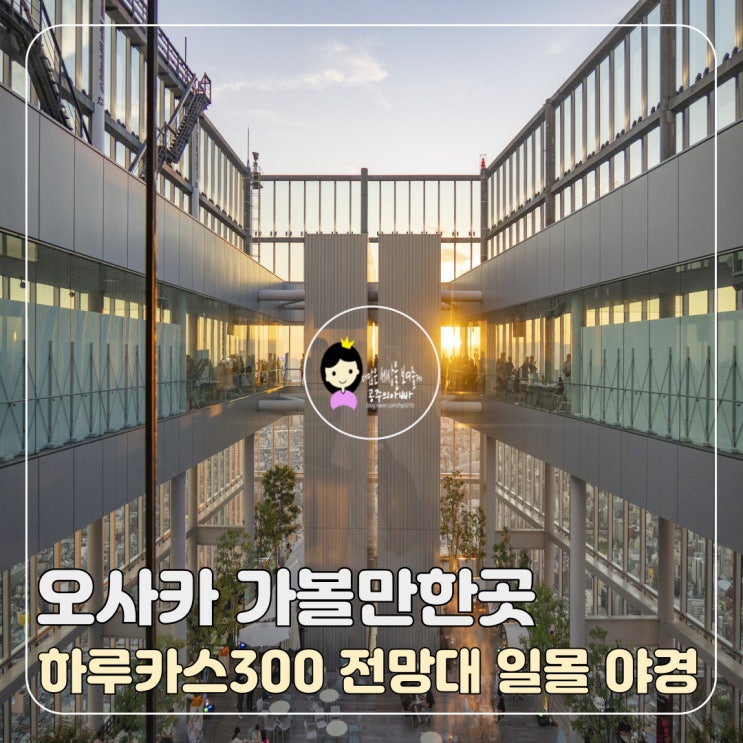 오사카 가볼만한곳 하루카스 300 전망대 입장권 예약 일몰 야경 관람후기 : 네이버 블로그