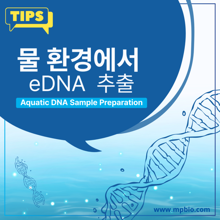 [실험 팁] 물 환경에서의 eDNA 추출: 실험 설계부터 최적화까지 (water DNA, eDNA extraction ...