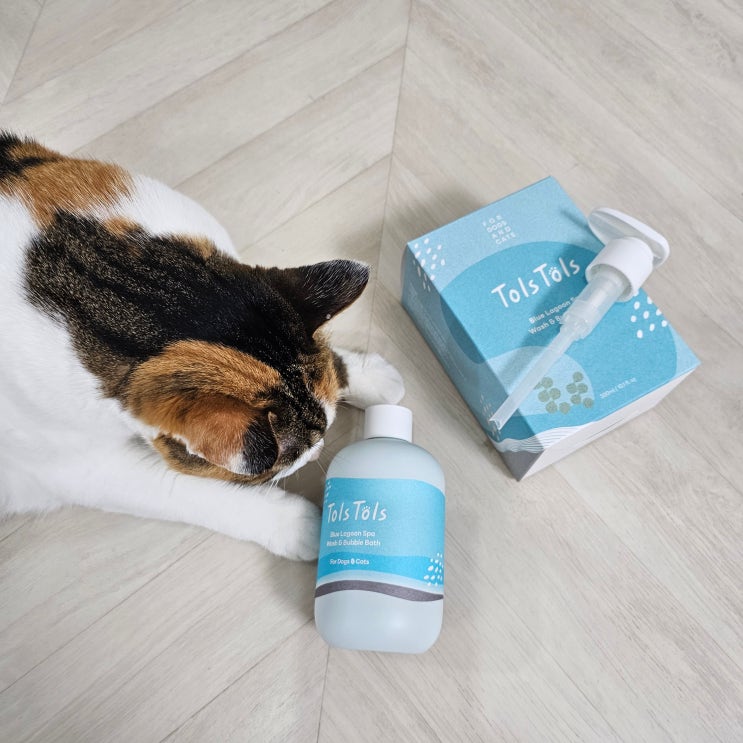 올인원 고양이 샴푸 추천 "톨스톨스 블루라군 스파워시" / 냥빨은 템빨/ 고양이 강아지 바디워시 목욕 : 네이버 블로그
