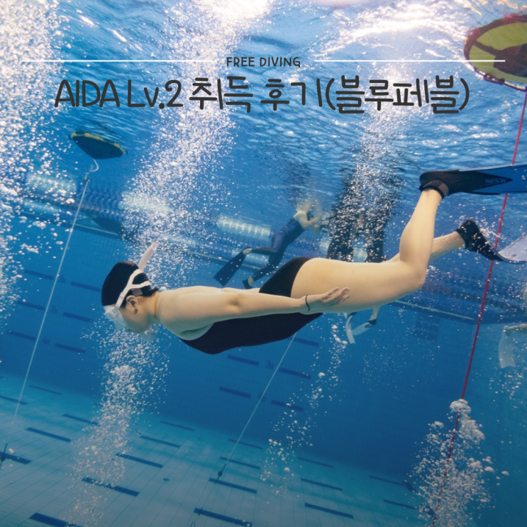 [프리다이빙] 성남 프리다이빙 AIDA LV2 취득 후기 및 비용정리(Fact. 블루페블) : 네이버 블로그