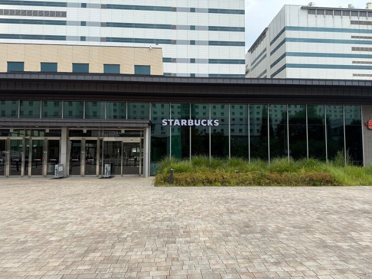스타벅스 신규 오픈 매장 파주LGD GATE G점 : 네이버 블로그