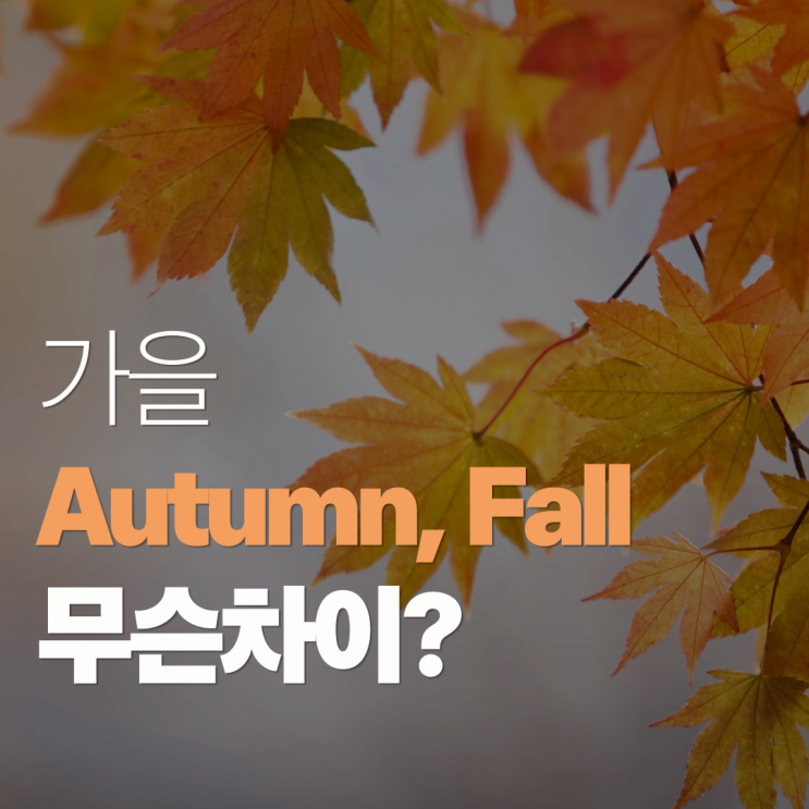 영어에서 가을을 나타내는 단어 Autumn vs Fall 차이 쉽게 설명 : 네이버 블로그