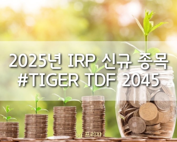 2025년 IRP 신규 편입 종목 TIGER TDF 2045 선정! 두둥! : 네이버 블로그