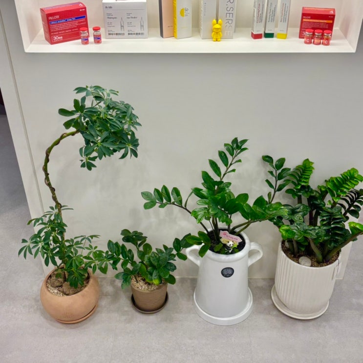 💆🏻‍♀️[대구] 동구 에스테틱 "위드밸런스에스테틱" - 비대칭관리 기능회복관리 바디관리 추천 : 네이버 블로그