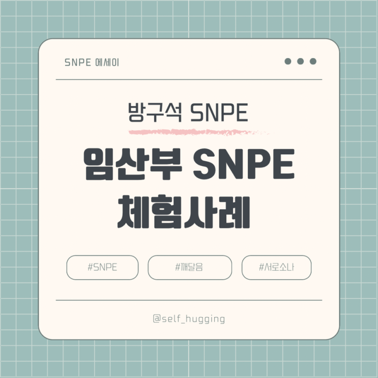 [SNPE 에세이] 임산부 SNPE 가이드를 작성하며... : 네이버 블로그