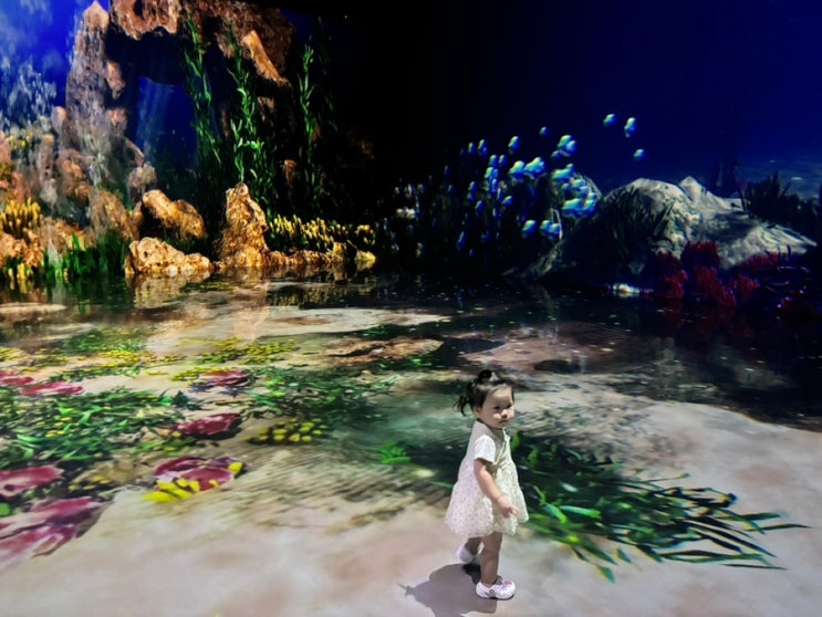 아기랑 가기좋은 제주 애월실내가볼만한곳 아이바가든 : 네이버 블로그