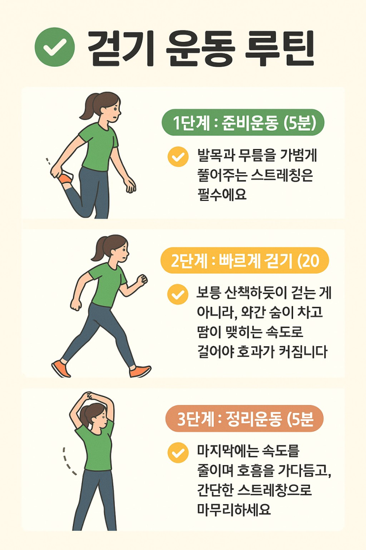 🚶‍♀️ 매일 30분! 걷기 운동 루틴 효능 총정리 🌿 : 네이버 블로그