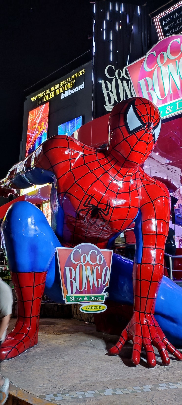 (멕시코 카리브해) 코코봉고, 드디어 가보다! : 네이버 블로그