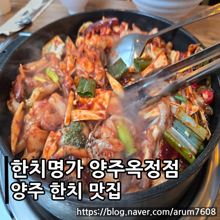 양주 한치 맛집 : 한치명가 양주옥정점 : 네이버 블로그