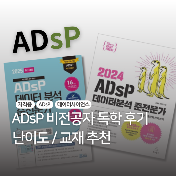 ADsP 46회 자격증 비전공자 독학 후기 / 난이도 / 교재 추천 : 네이버 블로그