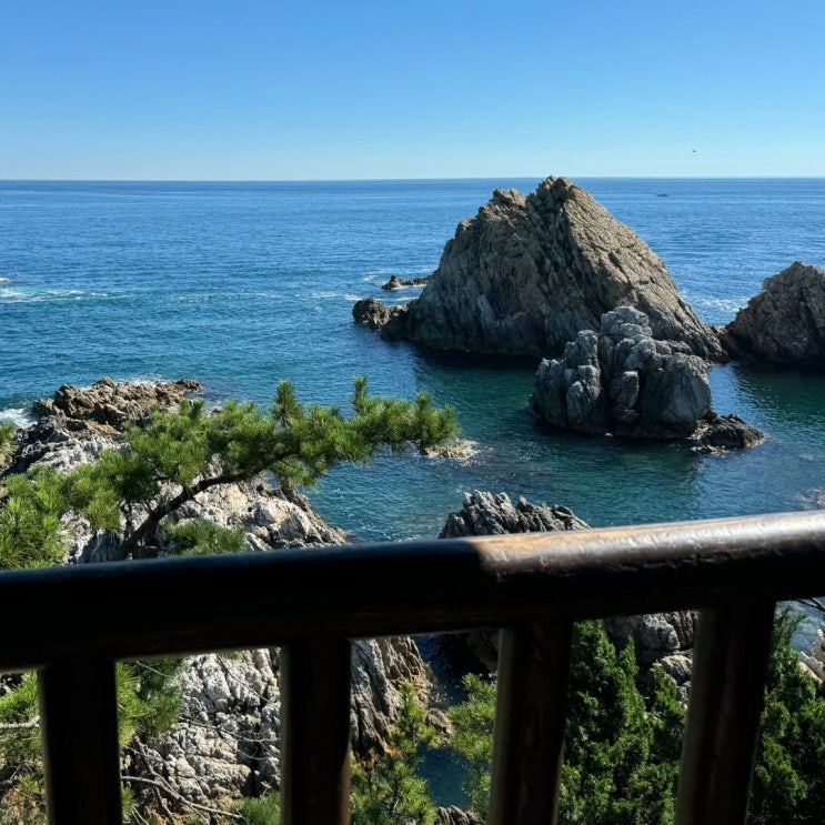 강원도 삼척 동해 바다 드라이브 코스 동해안 새천년 해안도로 : 네이버 블로그