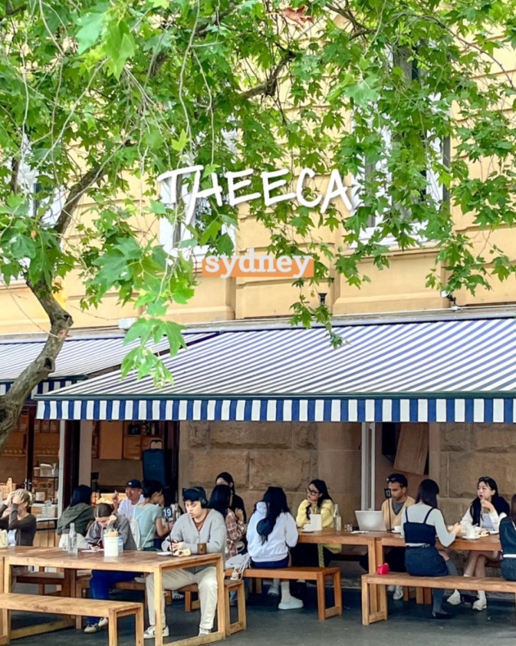 호주 시드니 핫플 브런치맛집 THEECA : 네이버 블로그
