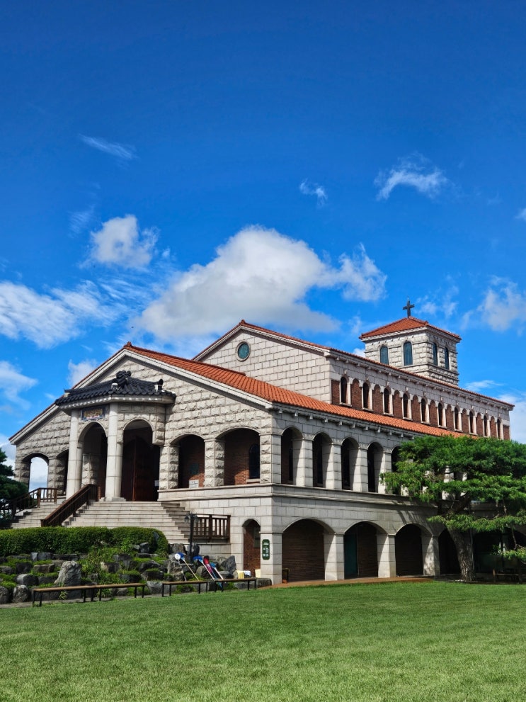 2025년 8월 : 네이버 블로그