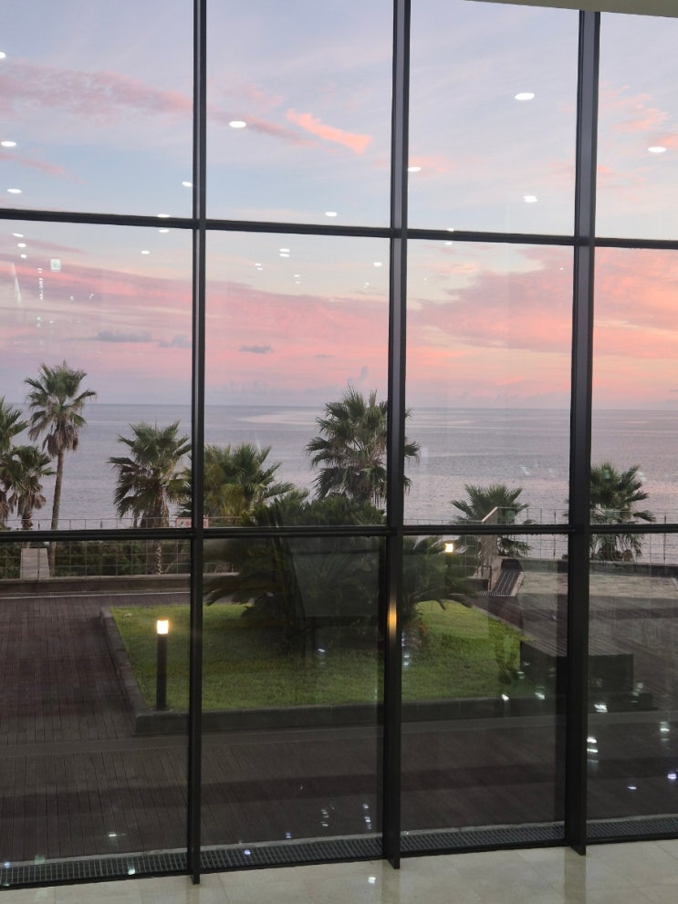 2025.8.27(수)~8.28(목)/40개월 ,6개월 아기랑 제주도 1,2일차/김가네 가야밀면/제주 농협수련원 키즈룸, 조식 ...