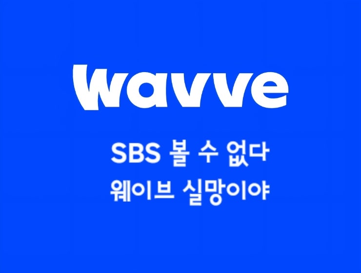 SBS 웨이브에서 사라진다 SBS는 이제 넷플릭스 독점OTT : 네이버 블로그