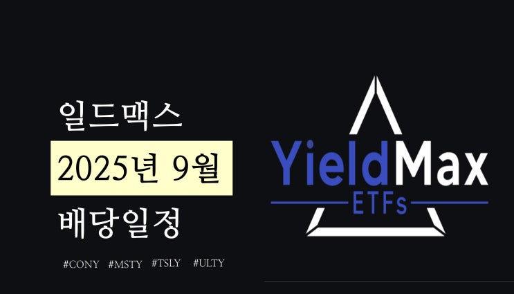 미국 일드맥스 고배당 ETF 9월 배당 일정 한눈에 (CONY, MSTY, TSLY, NVDY) : 네이버 블로그
