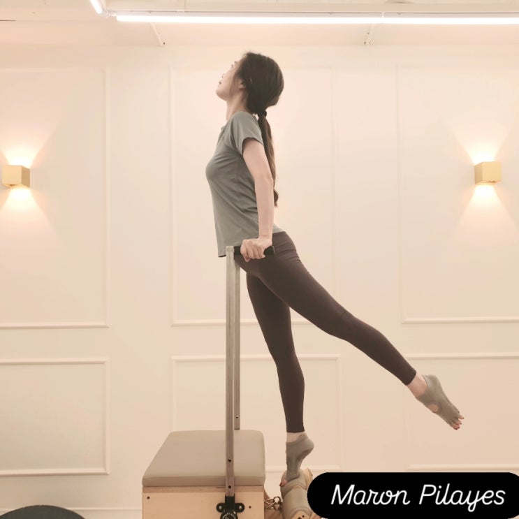 마론회원님 real Photp : 네이버 블로그