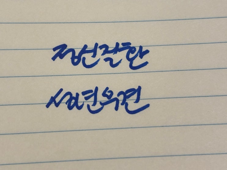 정신질환 성년후견? 신청방법부터 필수서류까지 : 네이버 블로그